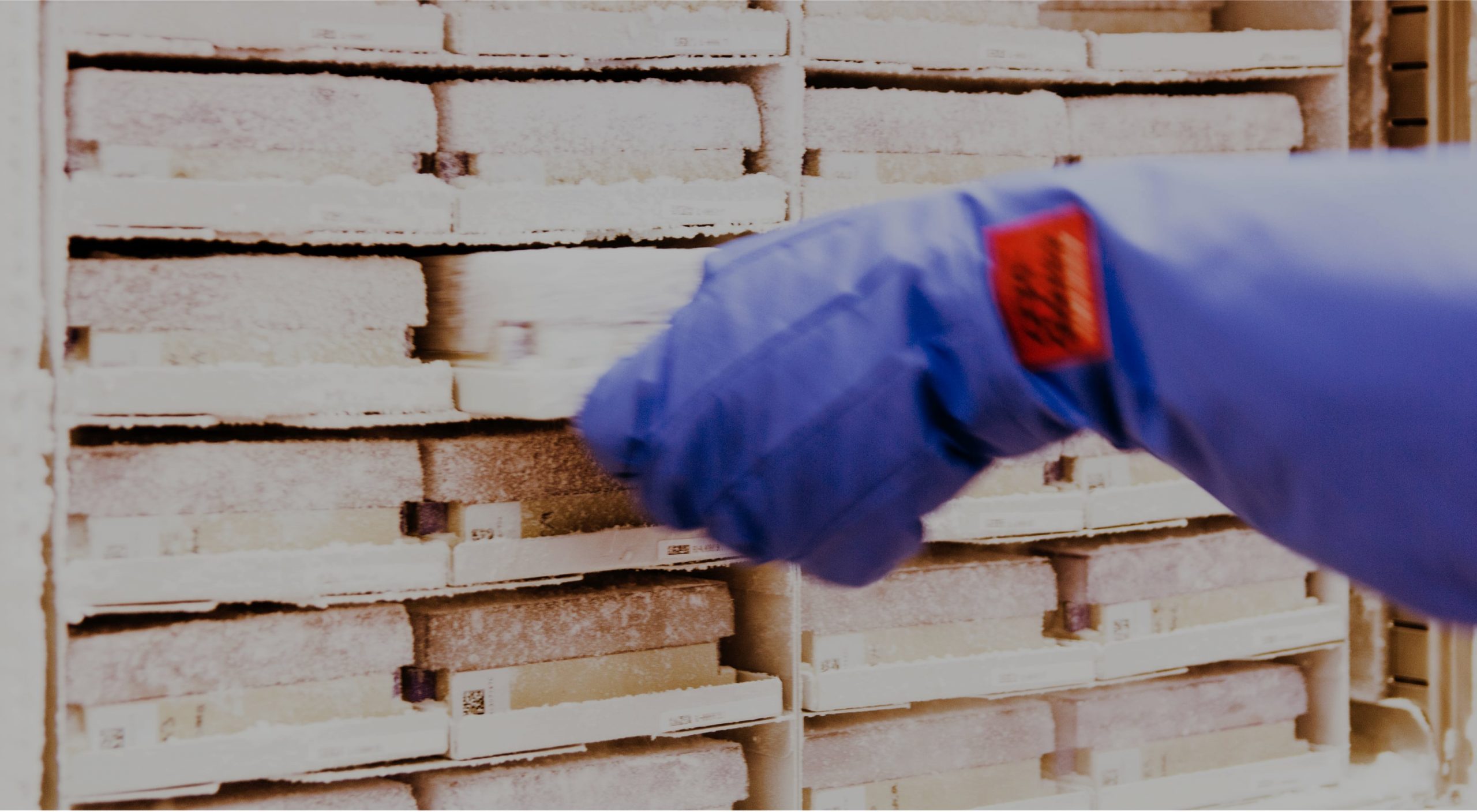 IBBL and LNS create MIRABANK, a bank of multi-resistant bacterial ...