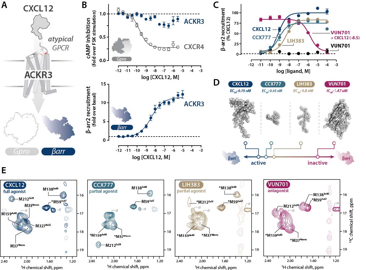 LIH-made compound leads to discovery on how drug targets work ...