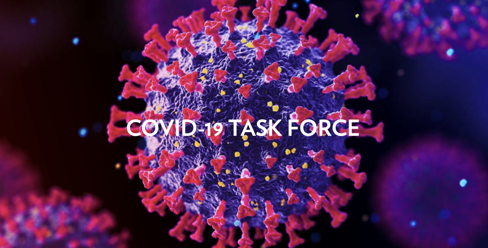 La Task Force COVID-19 luxembourgeoise remporte le prix Science for ...