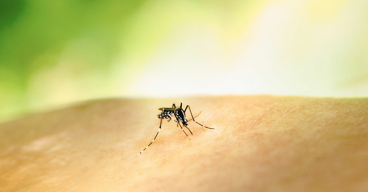 Launch of a new malaria vaccine trial brings renewed hope for improved ...